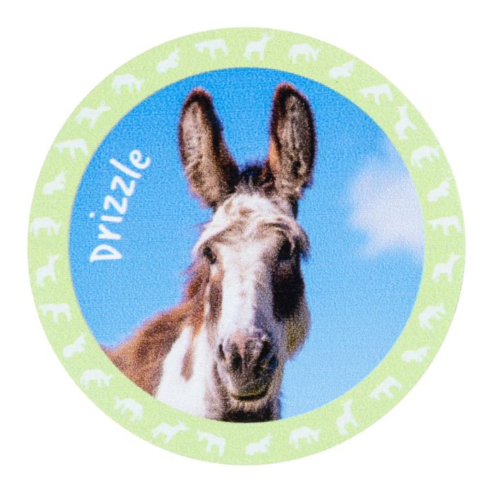 Bamboo Fridge Magnet - Drizzle | The Donkey Sanctuary Shop